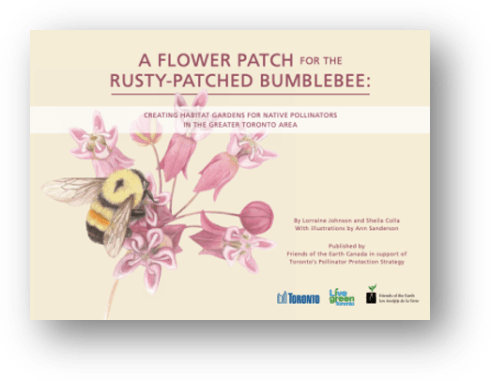 NATIVE BEES OF ONTARIO – Halton region Master Gardeners