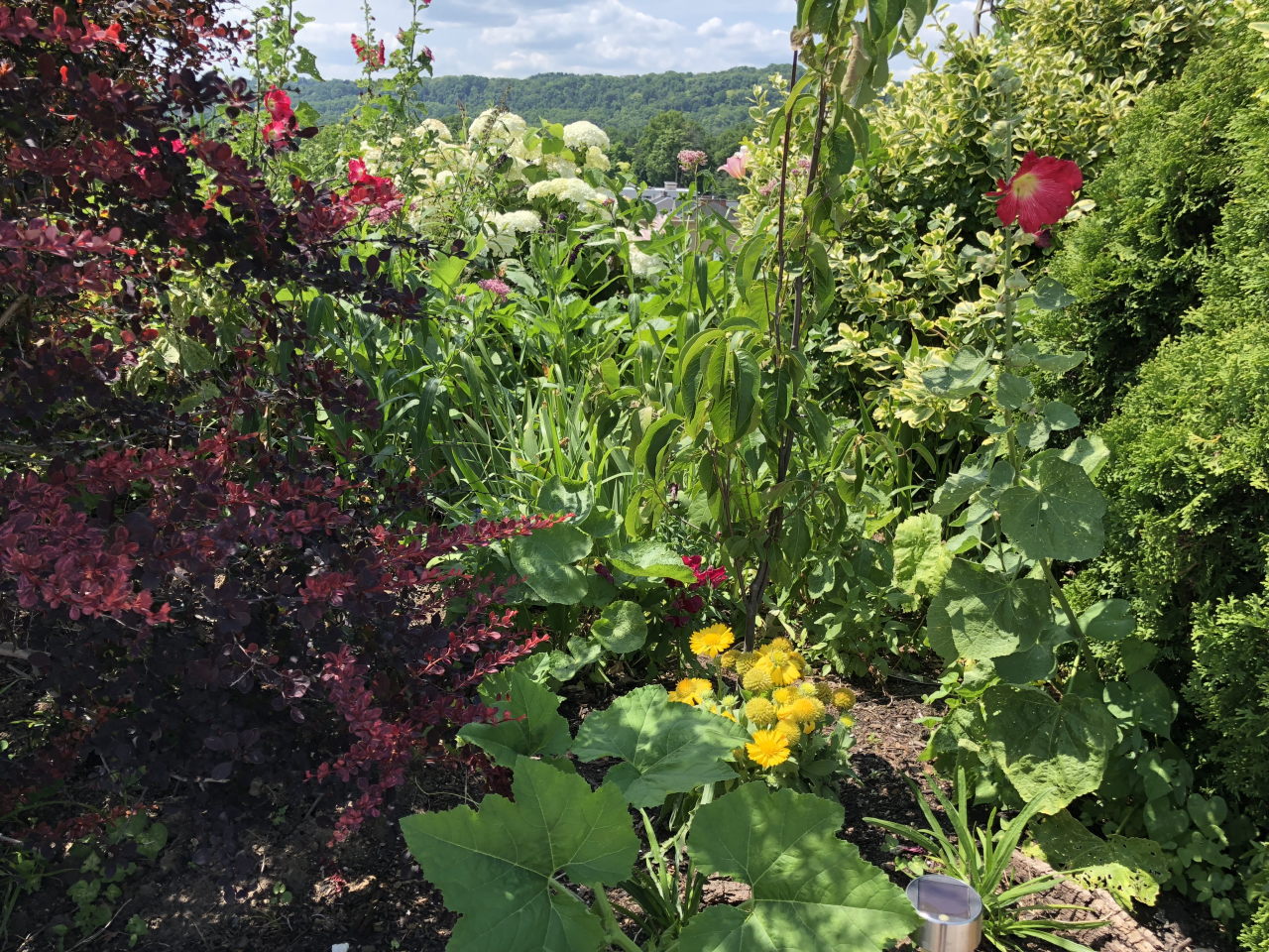 north planter – Halton Region Master Gardeners